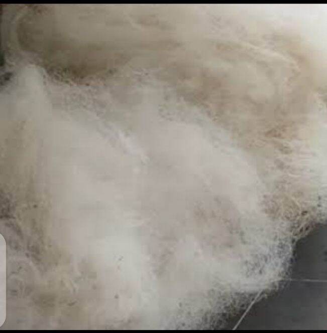 jaring serat nilon media filter kolam aquarium berat 1 kg | Lazada ...