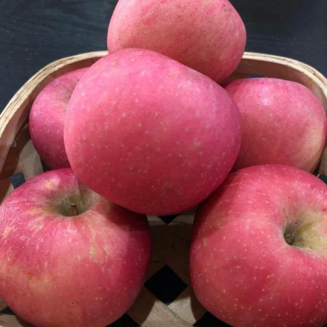 BUAH APEL FUJI RRC, Nt 1 kg , isi 5 / 6 biji. Renyah, Manis, Segar ...