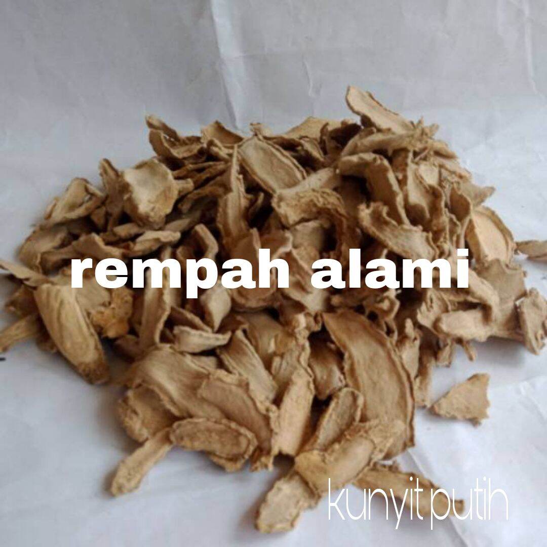 kunyit putih/temu mangga/curcuma zedoaria 100gr | Lazada Indonesia