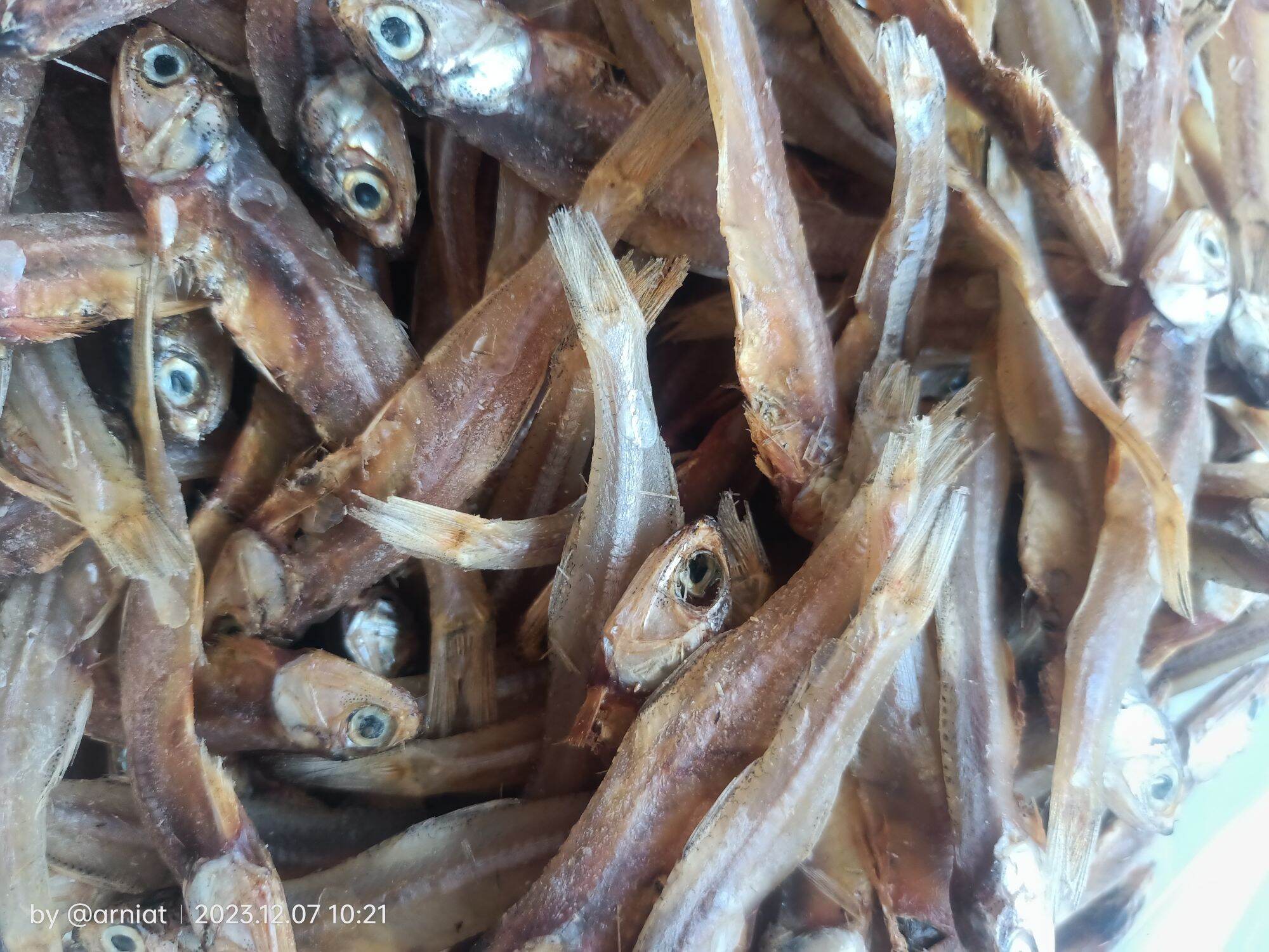 250 Gram Bada Tawar - Ikan Kering khas Minang | Lazada Indonesia