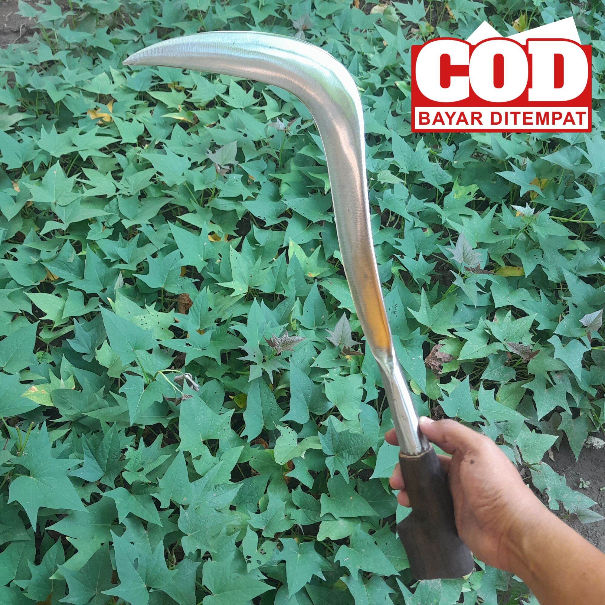 CALOK NURIDENG BERKEBUN | Lazada Indonesia