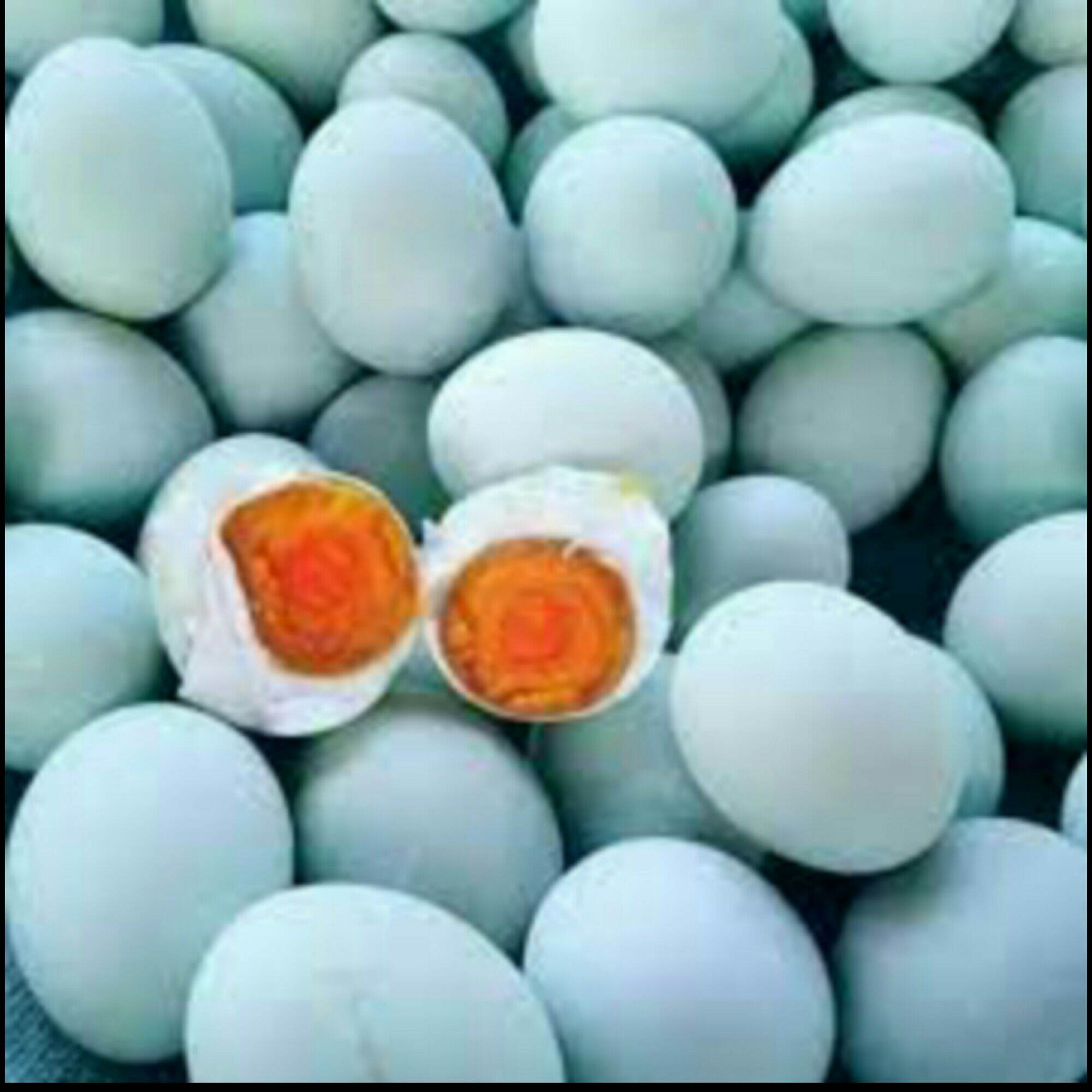 5 butir telur asin asli masir | Lazada Indonesia