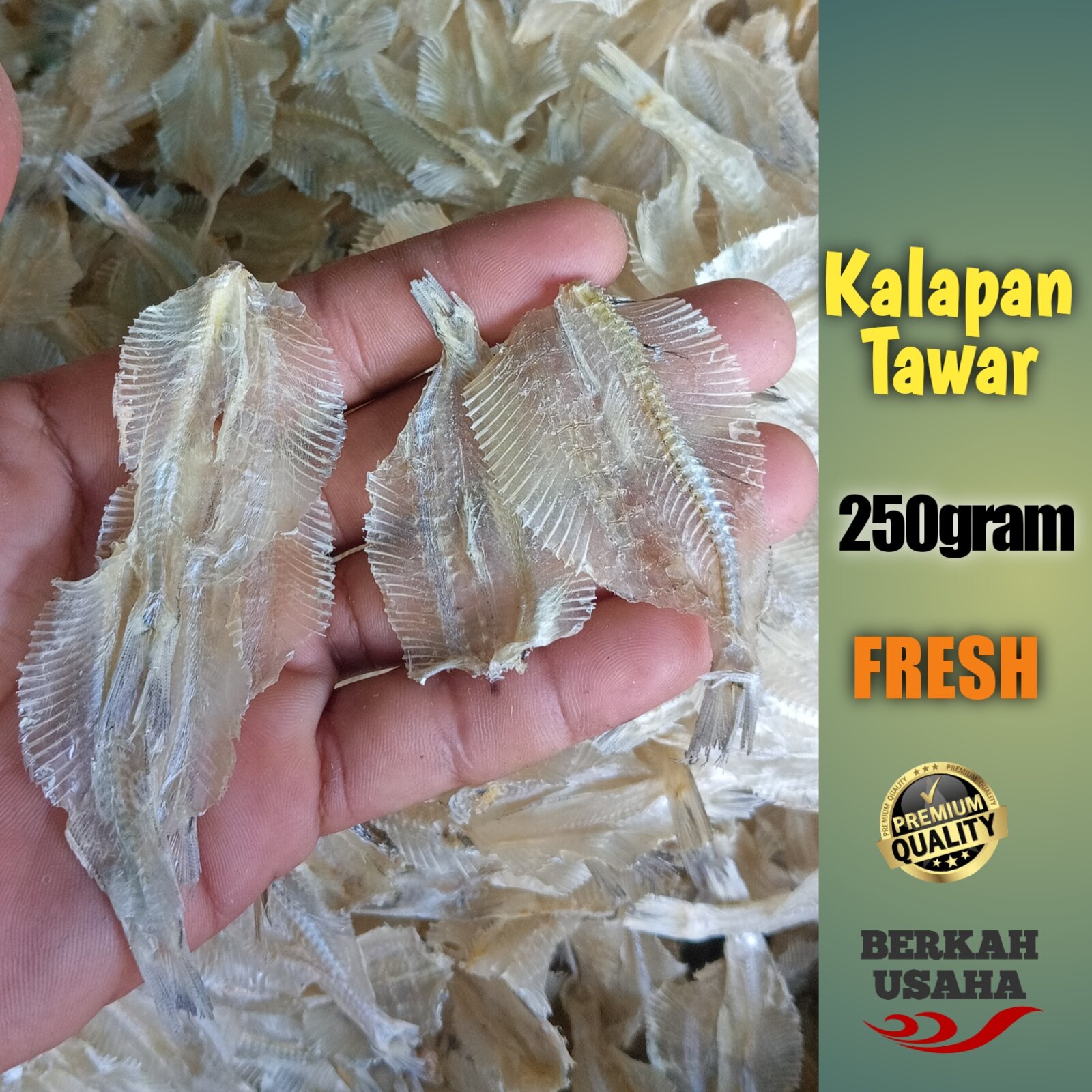 IKAN ASIN TIPIS PAKANG KALAPAN TAWAR KERING 250gram | Lazada Indonesia