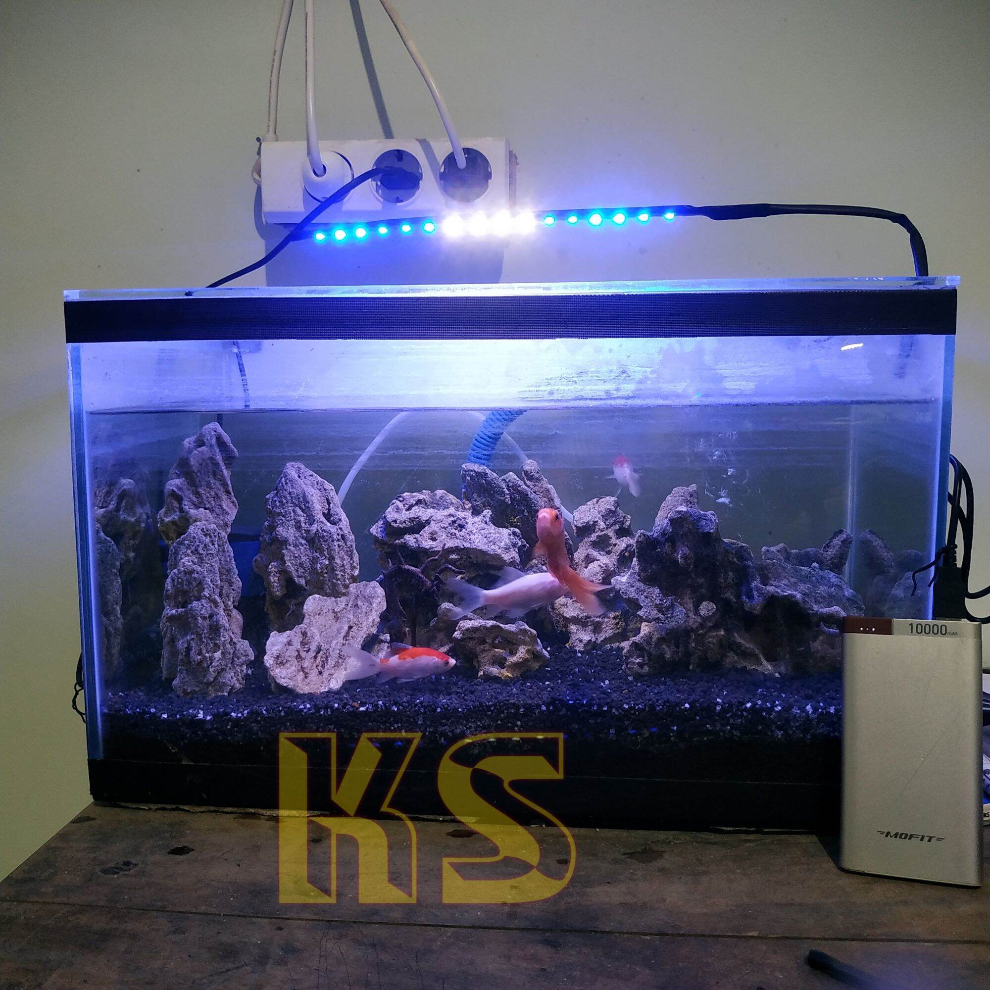 lampu aquarium 16 mata led smd biru putih biru lampu aquascape lampu ...