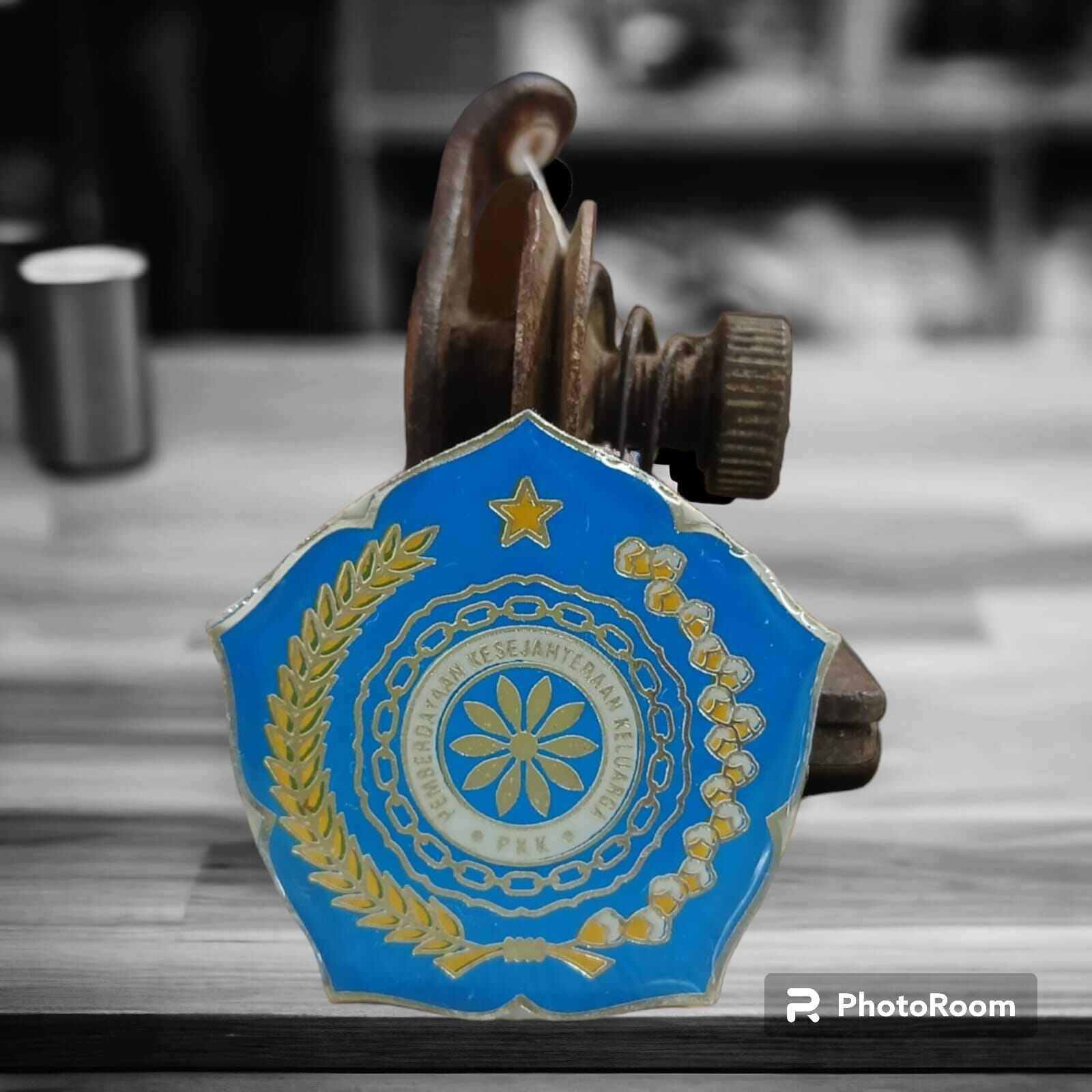 Pin Lencana pkk | Lazada Indonesia
