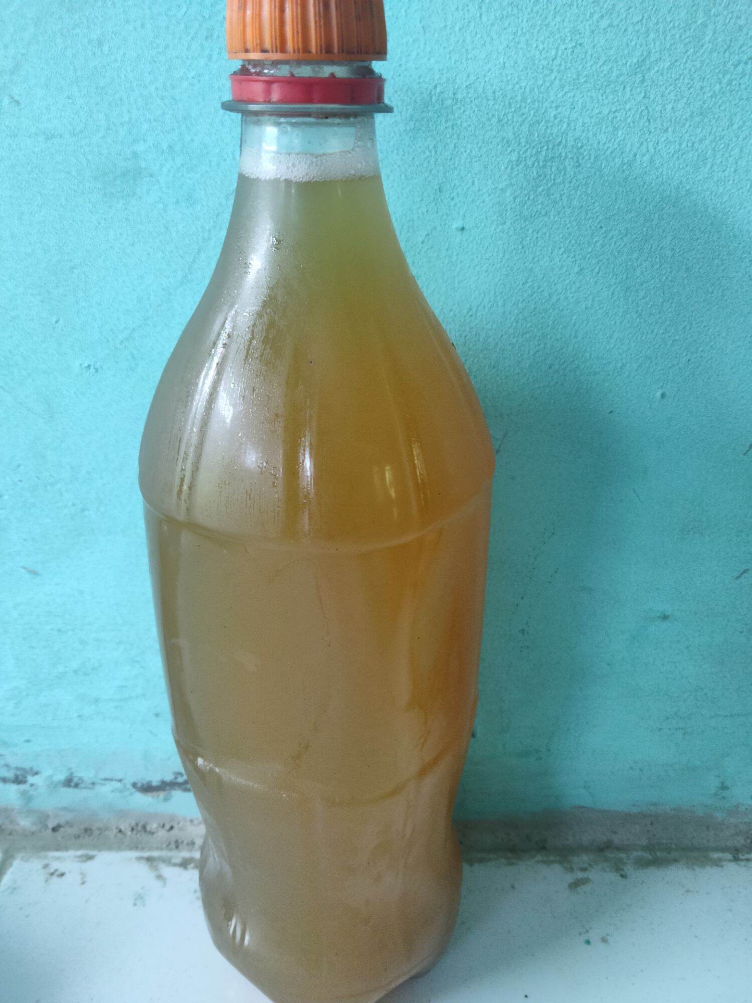 air nira asli 100 ,% dari pohon aren langsung rasanya manis satu liter ...
