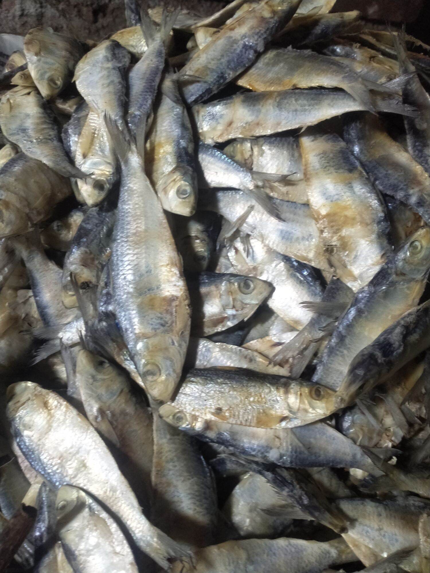 Ikan Asin Tamban | Lazada Indonesia