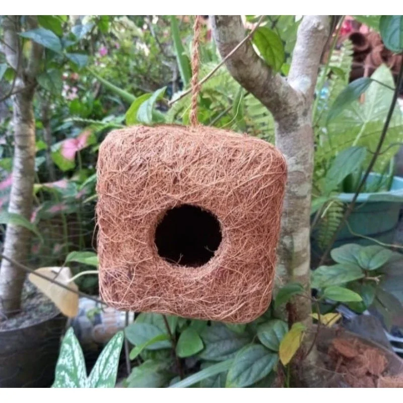 Gelodok kotak sarang burung love bird serat sabut kelapa | Lazada Indonesia