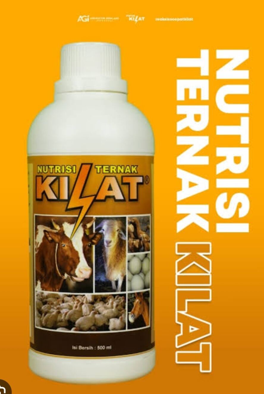 NUTRISI TERNAK KILAT 500Ml | Lazada Indonesia