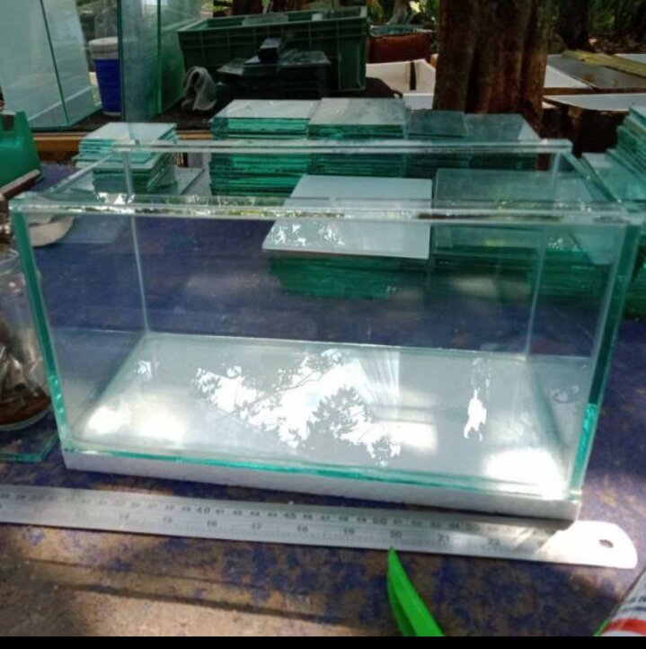 aquarium murah 30x15x15 aquarium 30x15x15 aquarium chana aquarium ...