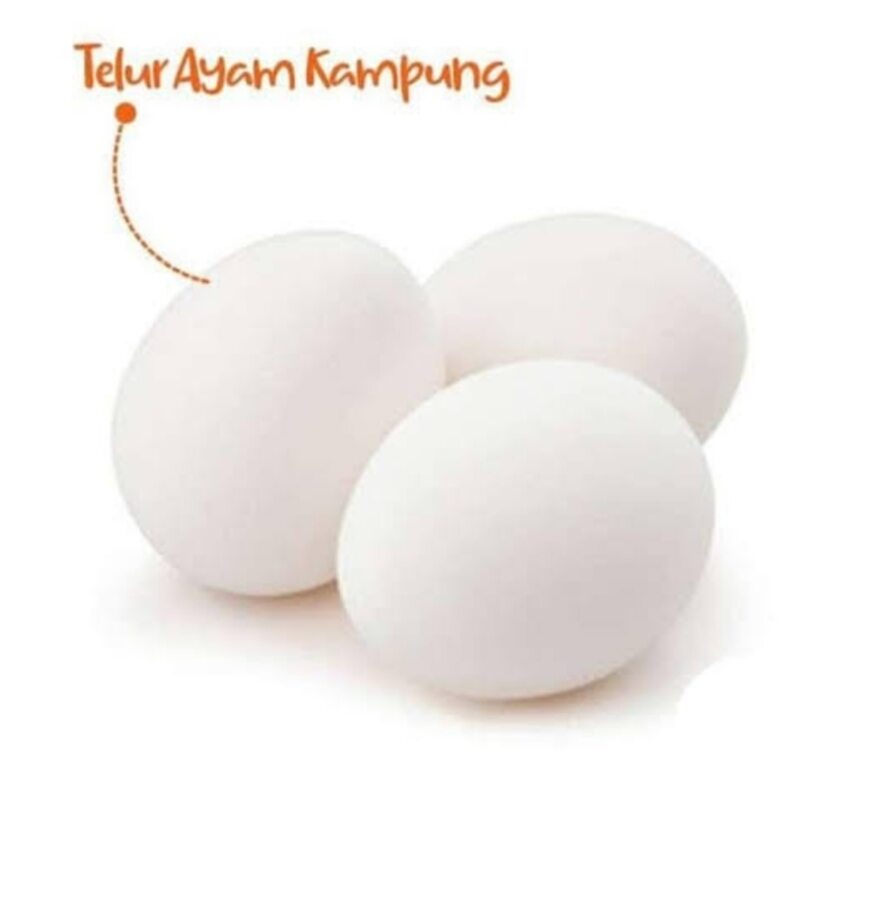 Telur ayam kampung asli ( / biji ) | Lazada Indonesia