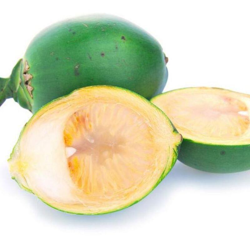 Buah Jambe Muda fres,buah pinang muda,Buah Pinang muda segar obat ...