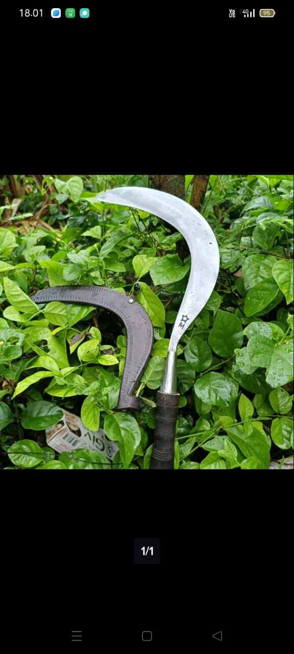 alat berkebun sabit/arit rumput dan padi sudah lengkap dengan sarung ...