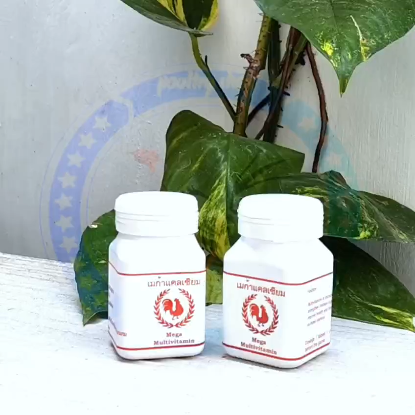 MEGA MULTIVITAMIN ayam / Seperti RAINBOW ayam - isi 100 pill | Lazada ...
