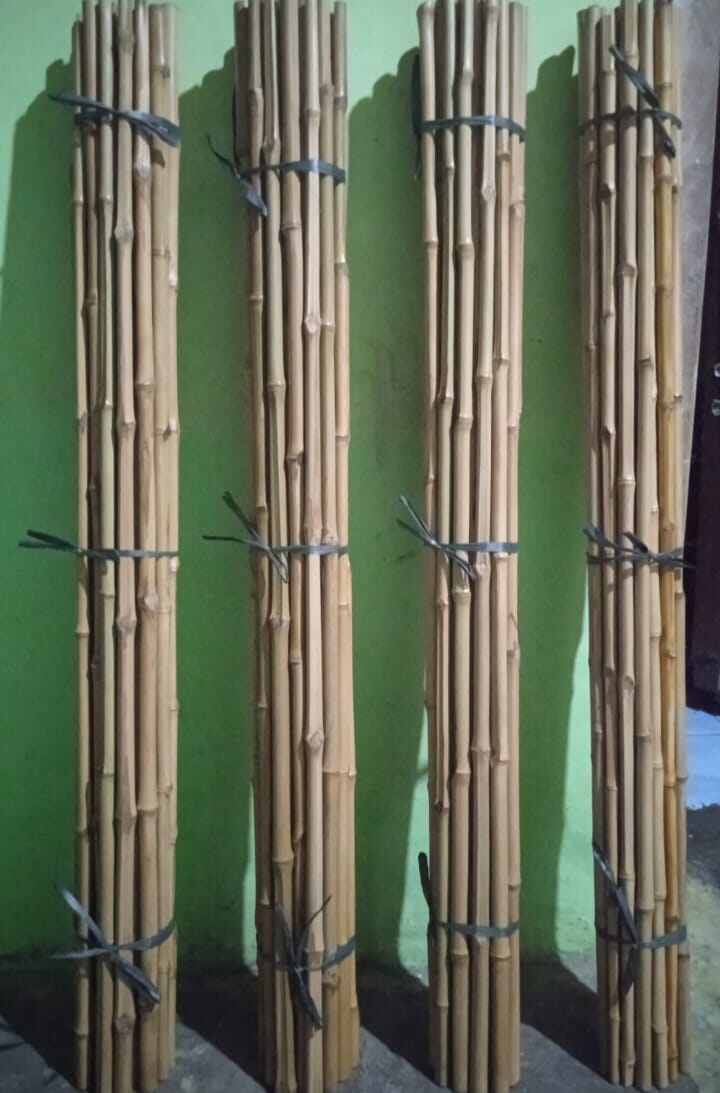 BATANG BAMBU PANJANG 1 METER | Lazada Indonesia
