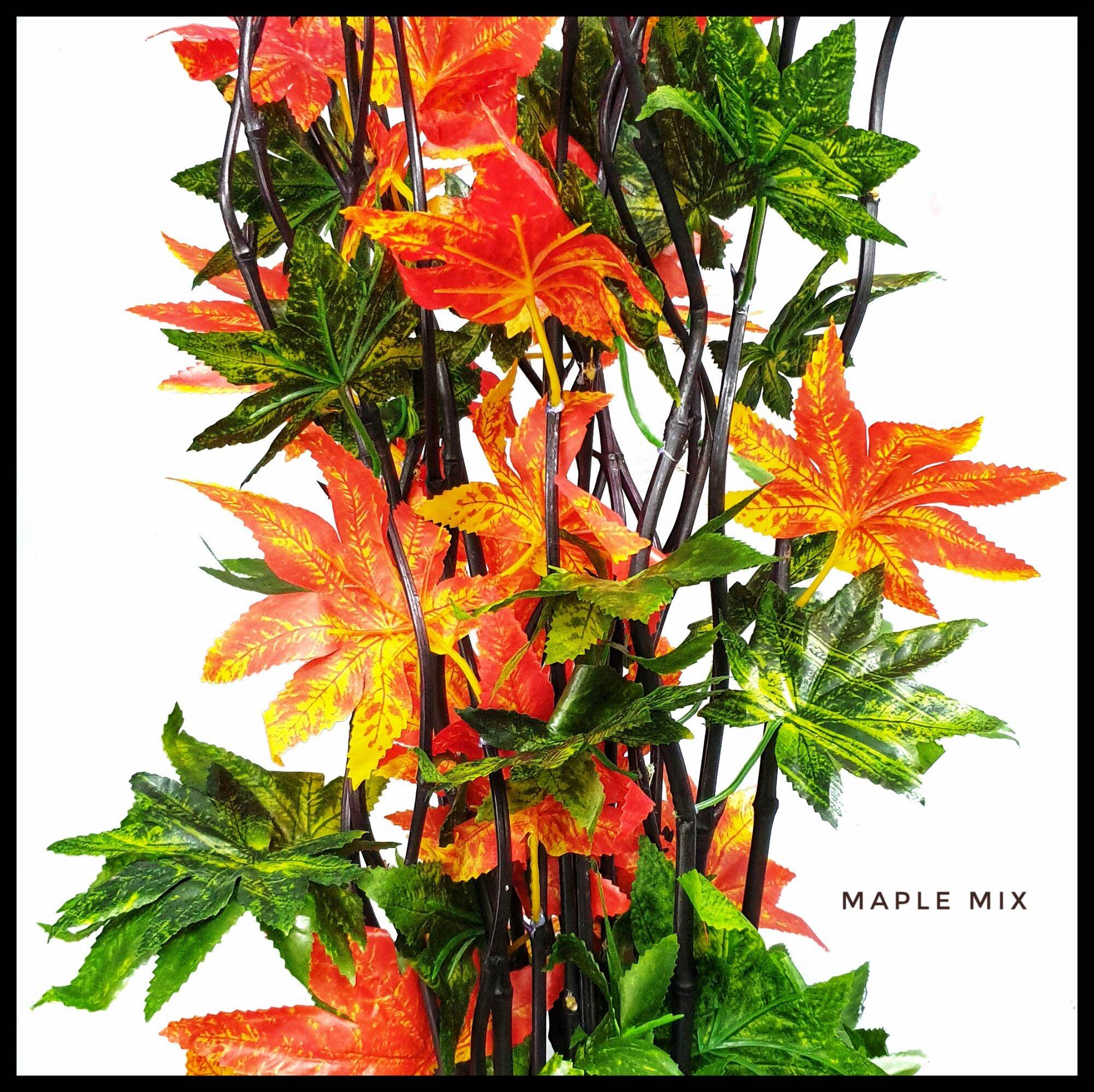 10 Batang Bambu Ulir Maple Mix Tinggi 180 cm (Tidak termasuk vas/pot ...