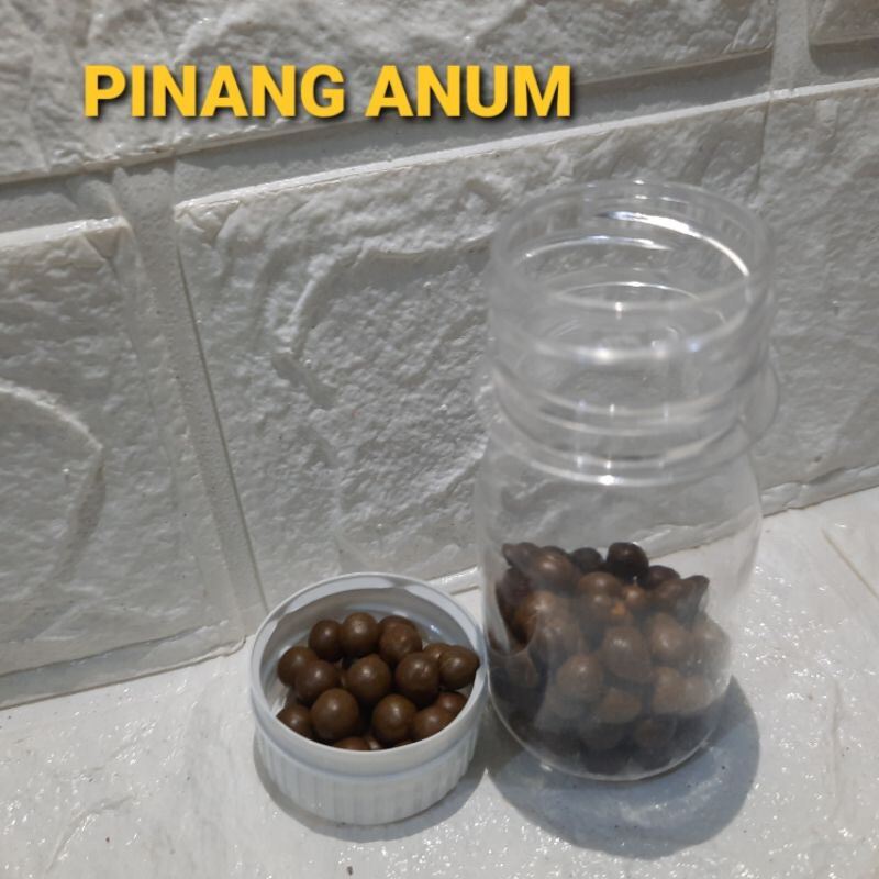 Pinang anum isi 100 | Lazada Indonesia