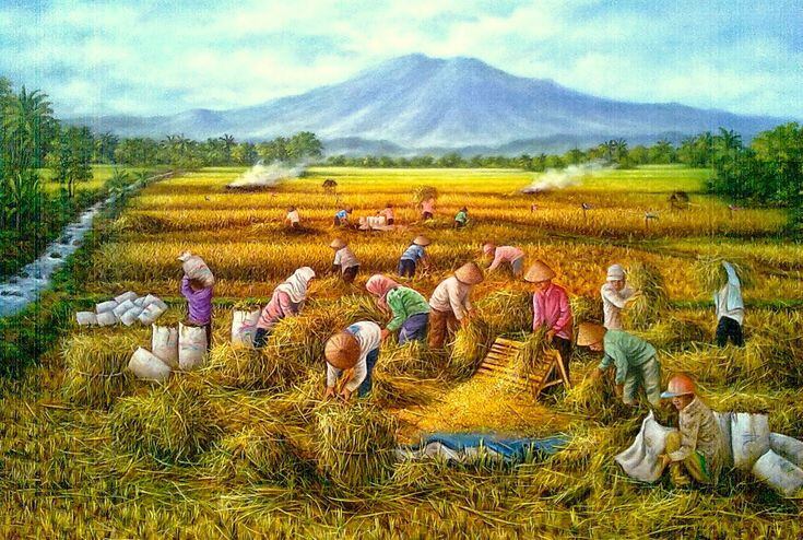 poster cetak, PANEN PADI, GAMBAR UKURAN 100 X 70 CM / Hiasan Dinding ...