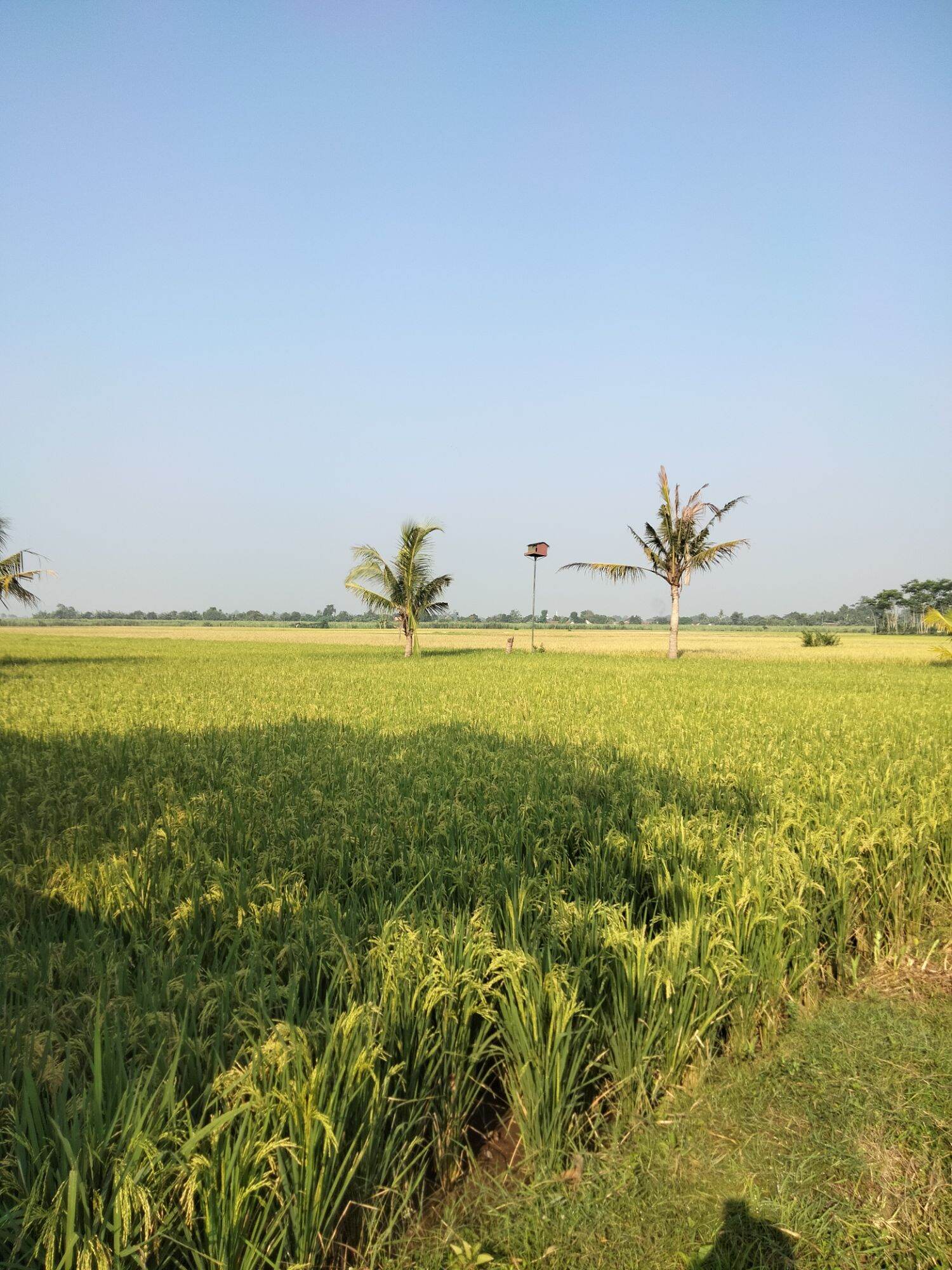 agrotama 27 Toko resmi di Indonesia, Online Shop 11 2024