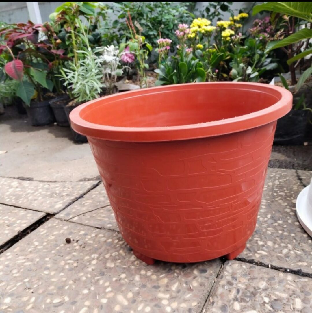 pot bunga 30 bata, pot 30, terracota, tebal | Lazada Indonesia