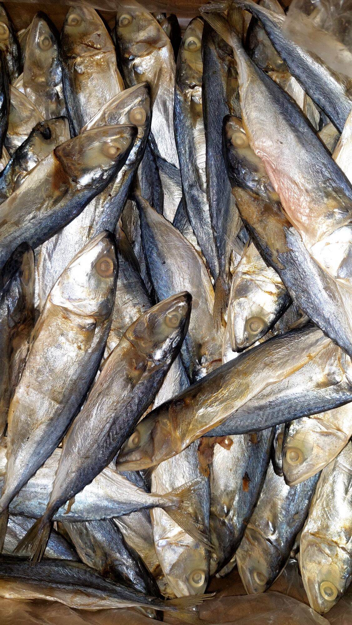 IKAN ASIN BANJAR / PEDA PUTIH UKURAN BESAR SEDANG | Lazada Indonesia