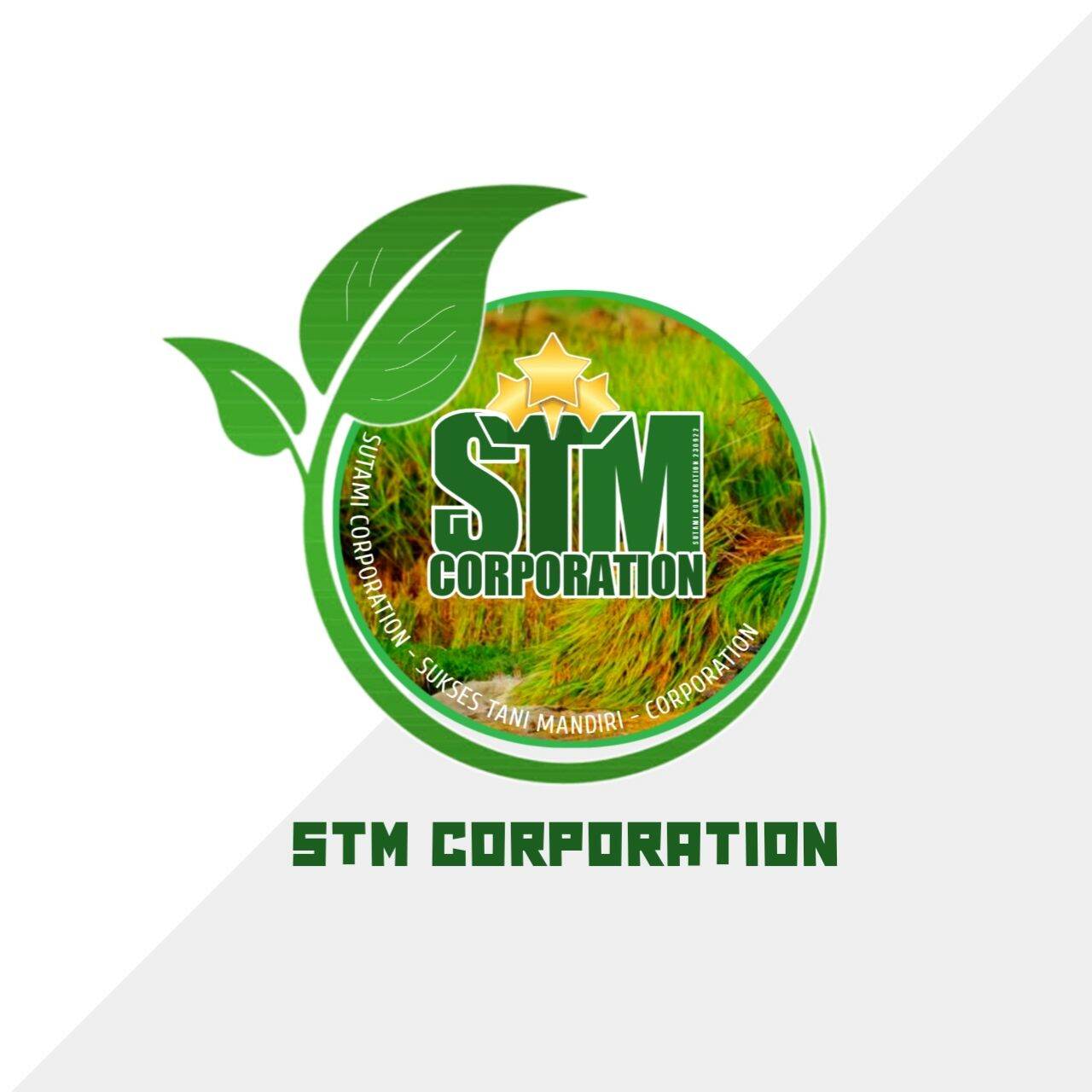 STM CORPORATION Toko resmi di Indonesia, Online Shop 04 2025