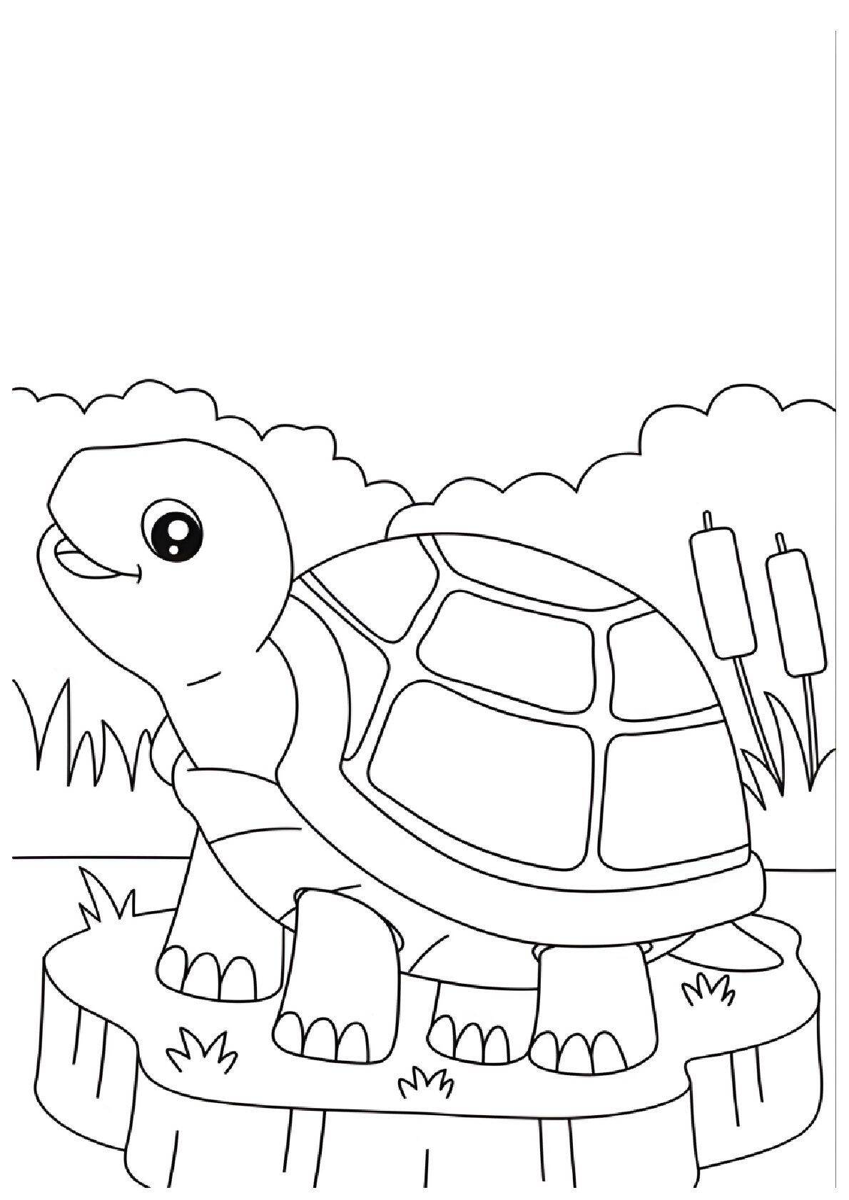 Kertas Gambar Mewarnai A4 Kura kura / Coloring / Sketsa Gambar / Kertas Mewarnai / Kertas Gambar ...