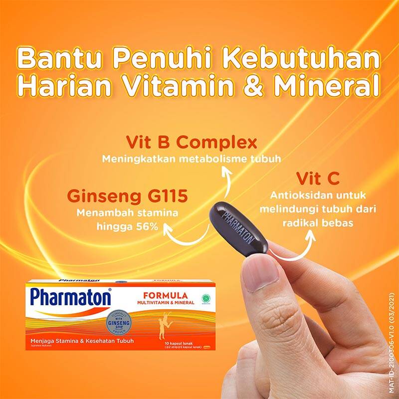 Pharmaton GO 1 strip isi 5 Tablet dengan Gingseng Pharmaton Formula ...