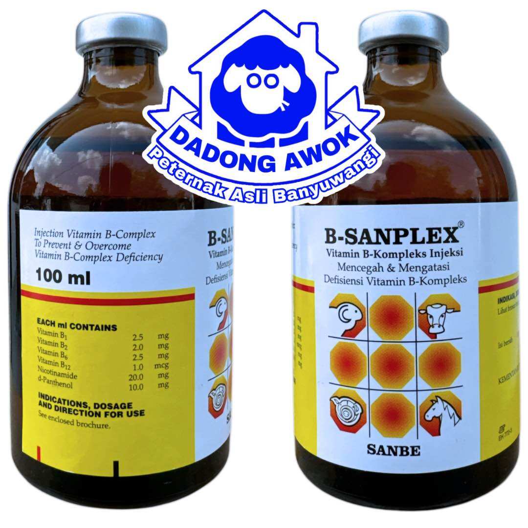 B SANPLEX 100 ml & B SANPLEK 100 ml - B Kompleks vitamin SUPLEMEN ...