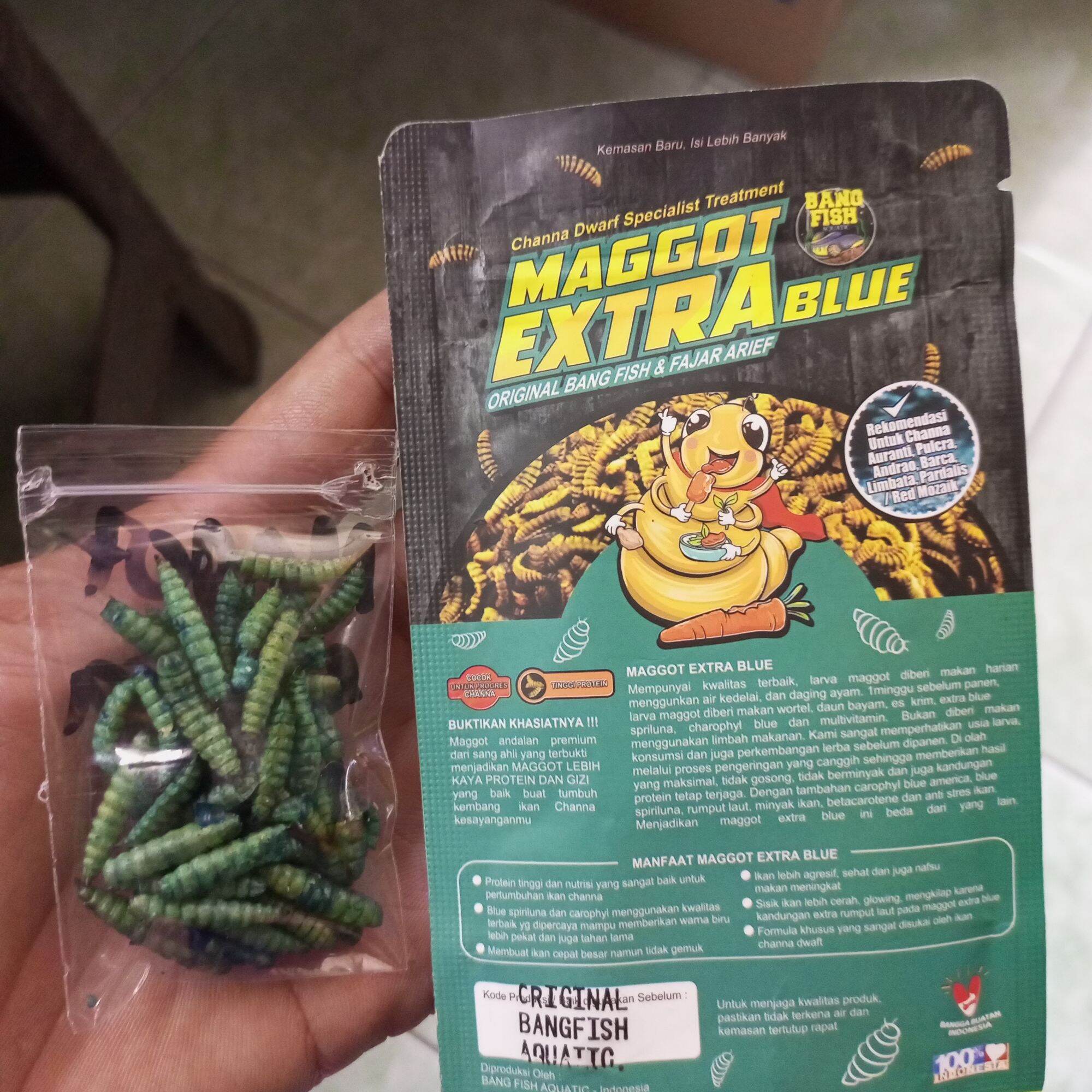 MAGGOT EXTRA BLUE REPACK 4-5GR ORIGINAL PRODUK BANG FISH X FAJAR ARIEF ...