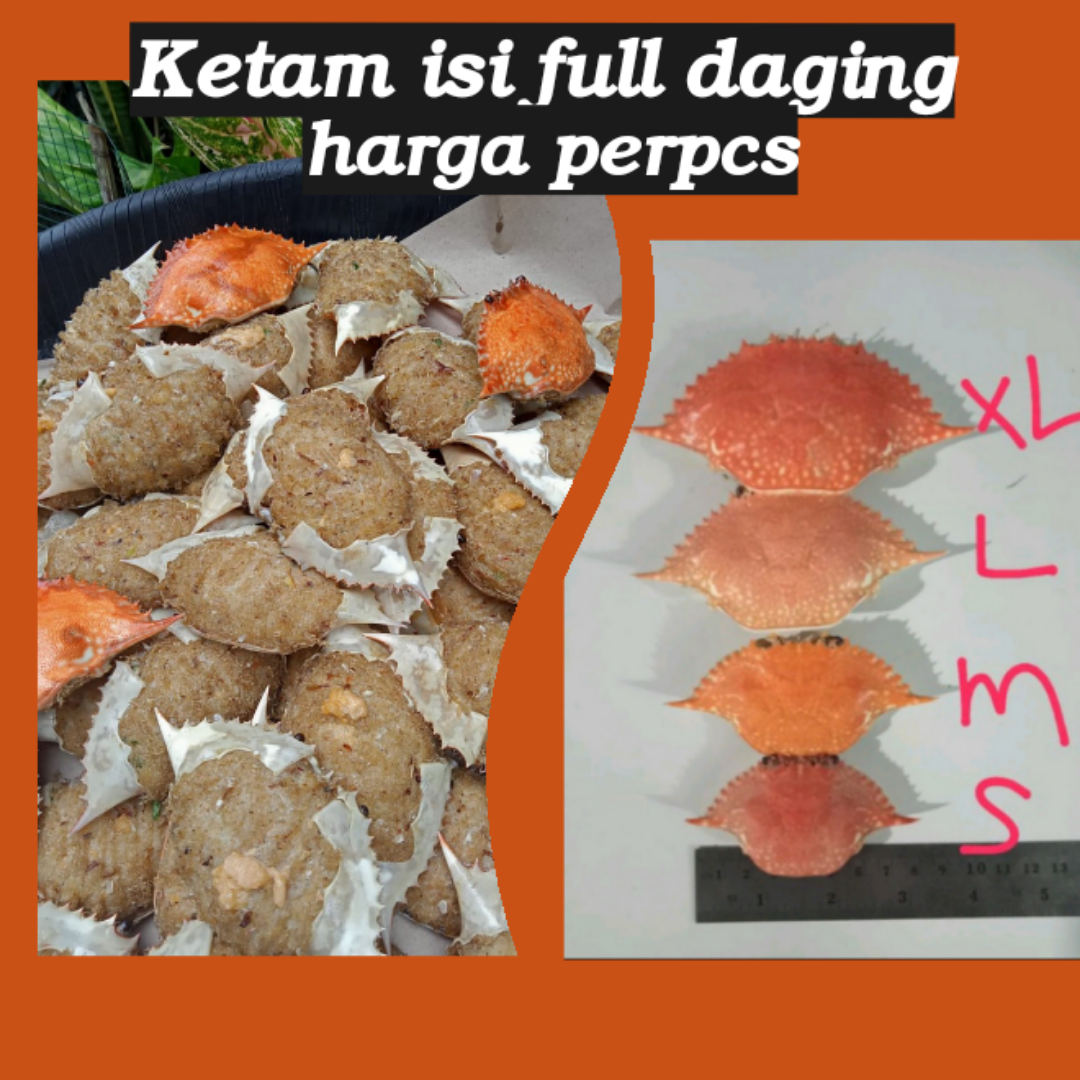 ketam isi full daging rajungan ukuran XL | Lazada Indonesia