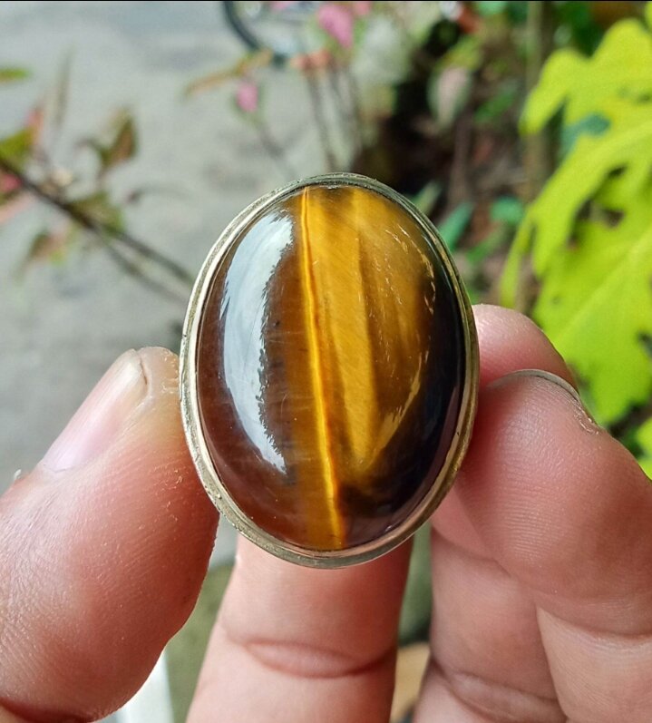Batu Tiger eye Sepah Posil Natural Unik antik Top quality Lazada Indonesia