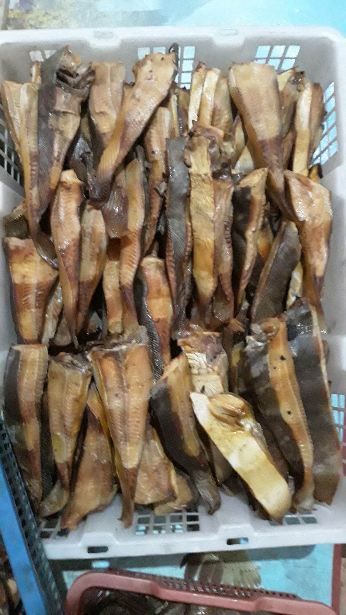 ikan pari super /pee mondol isi 10 potong per pak | Lazada Indonesia
