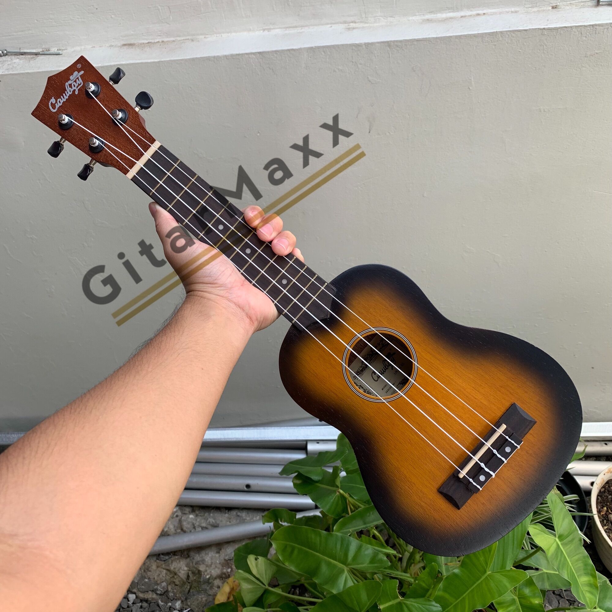 Ukulele Original Senar 4 Soprano Sunburst | Lazada Indonesia