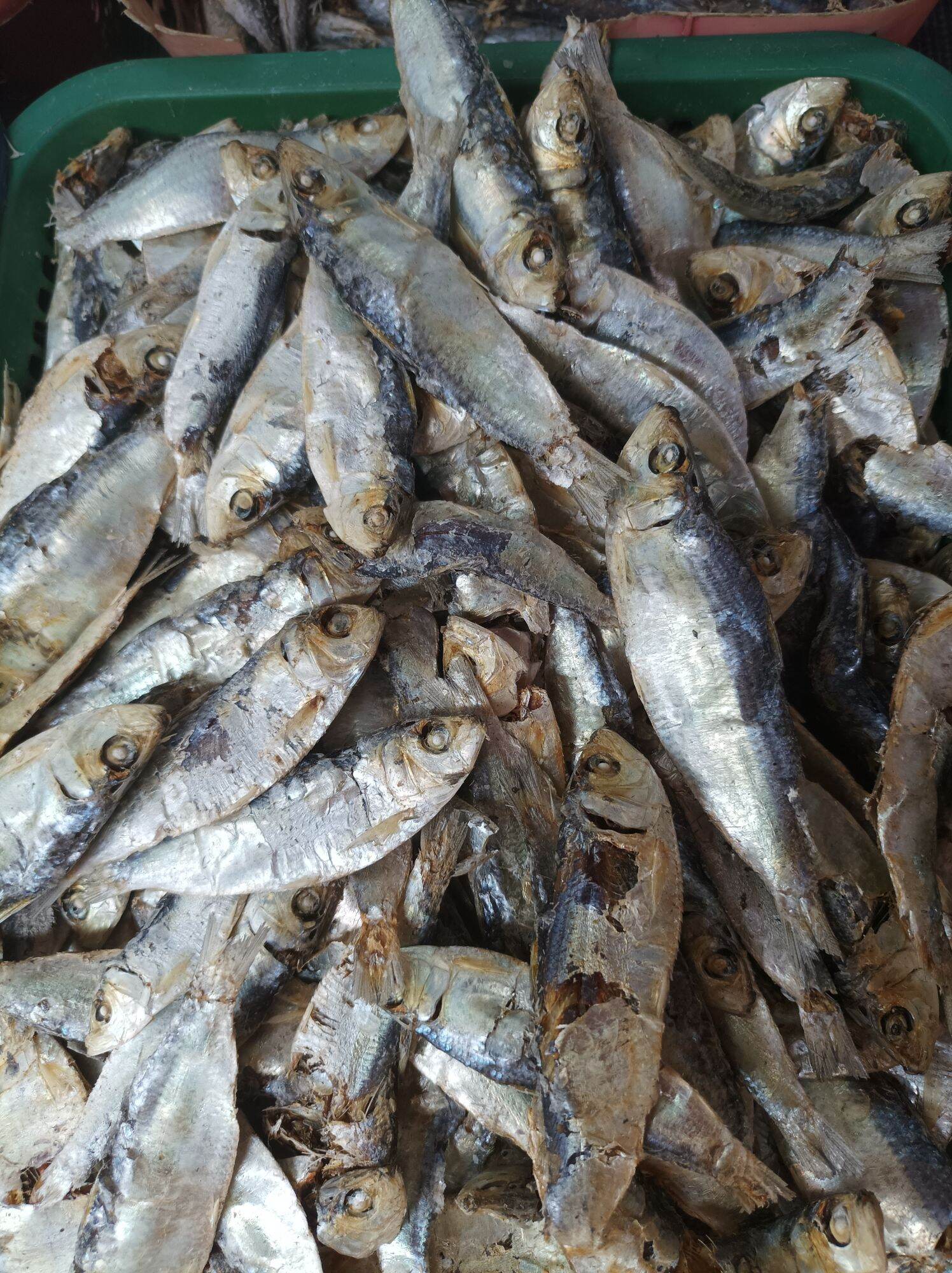 Ikan Asin Tanjan Rebus 500G/1KG | Lazada Indonesia