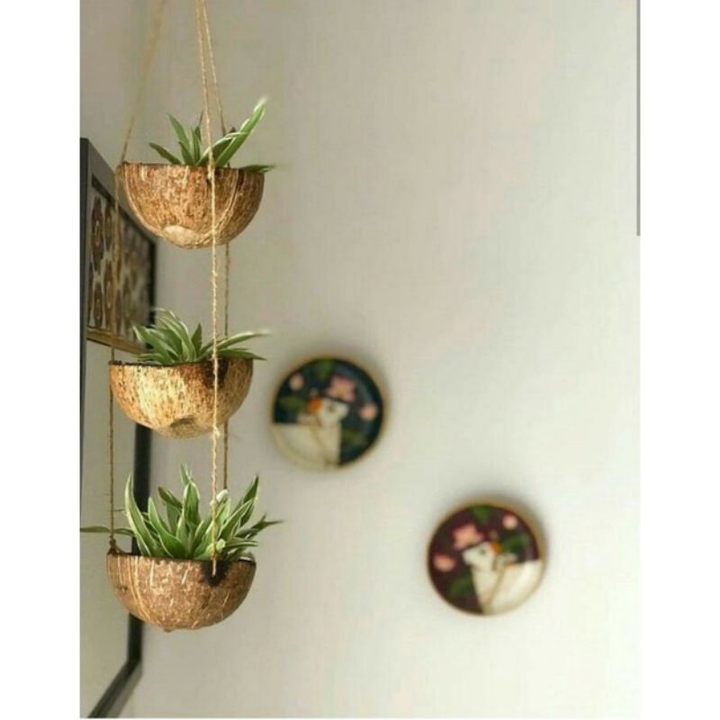 Pot Susun Batok Kelapa | Lazada Indonesia