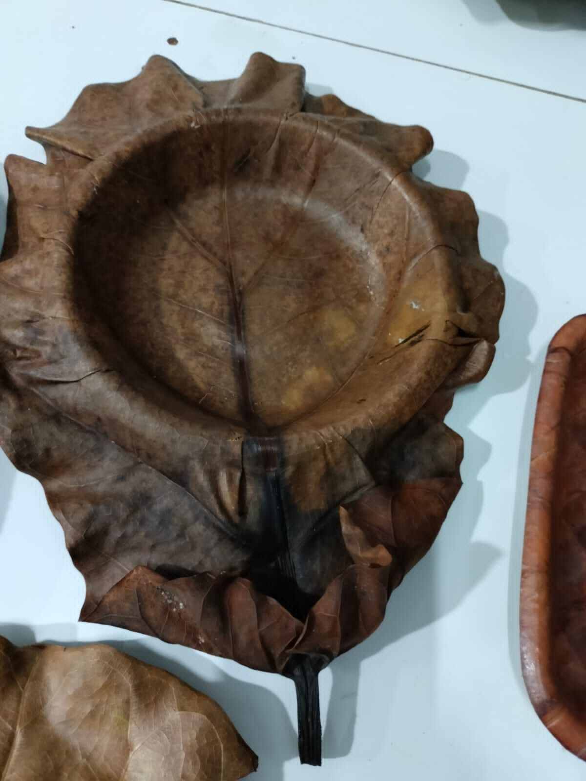 pas bunga ramah lingkungan bahan sabut kelapa dan daun | Lazada Indonesia
