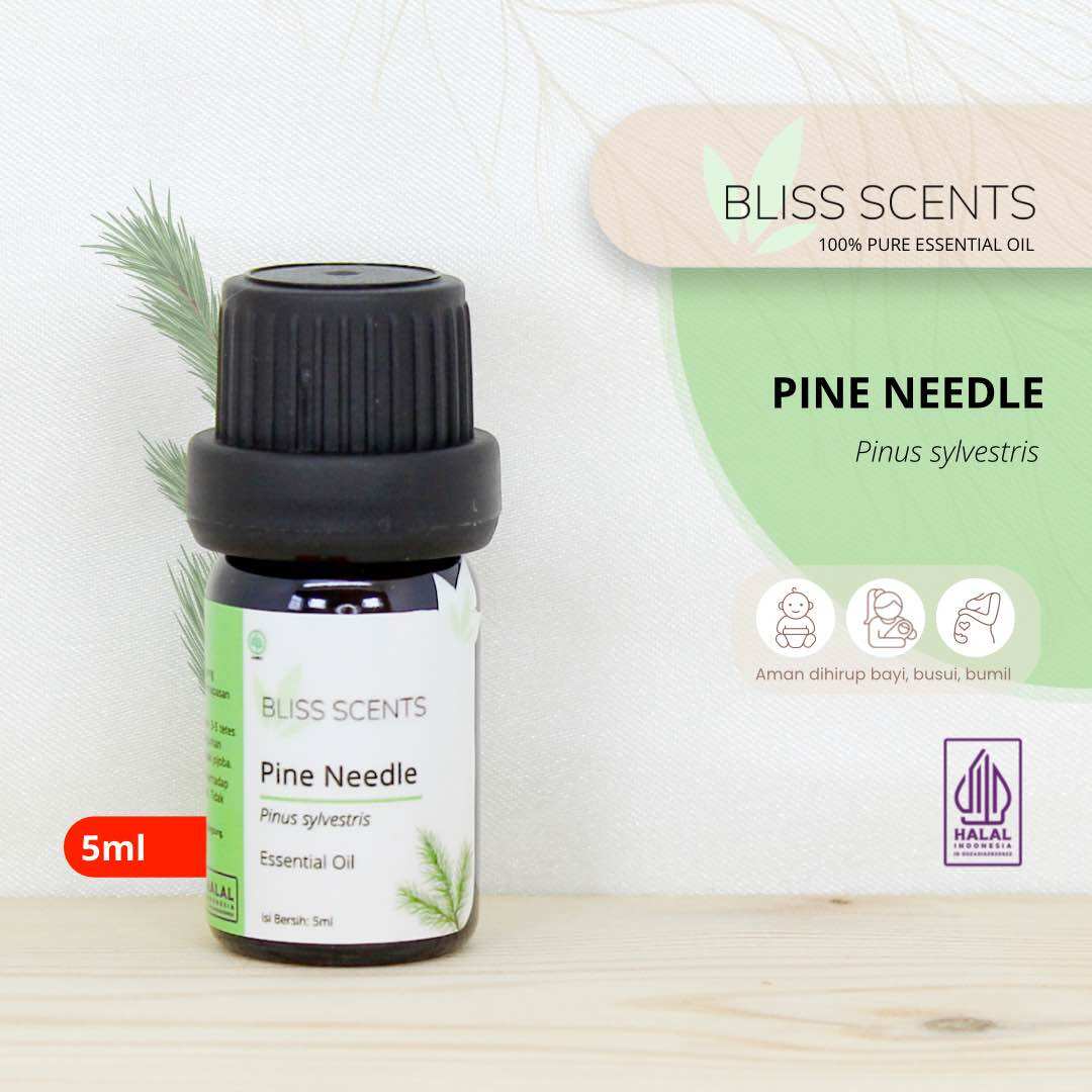 Bliss Pine Needle / Pinus Essential Oil 100% Murni Aromaterapi Diffuser | Lazada Indonesia
