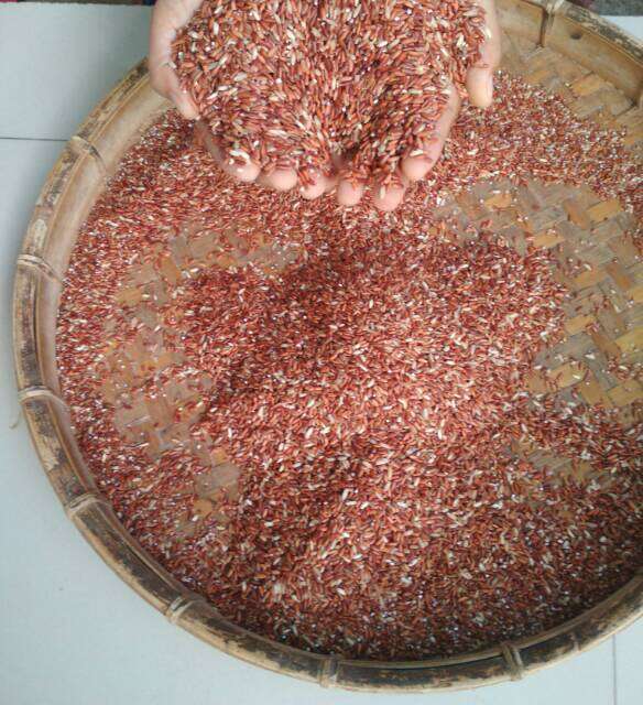 BERAS MERAH ASLI PANEN SENDIRI HASIL PEGUNUNGAN | Lazada Indonesia