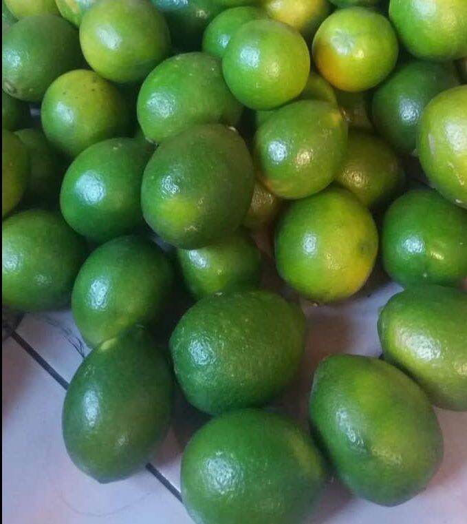 READY Jeruk Lemon California Hijau fresh /kg | Lazada Indonesia