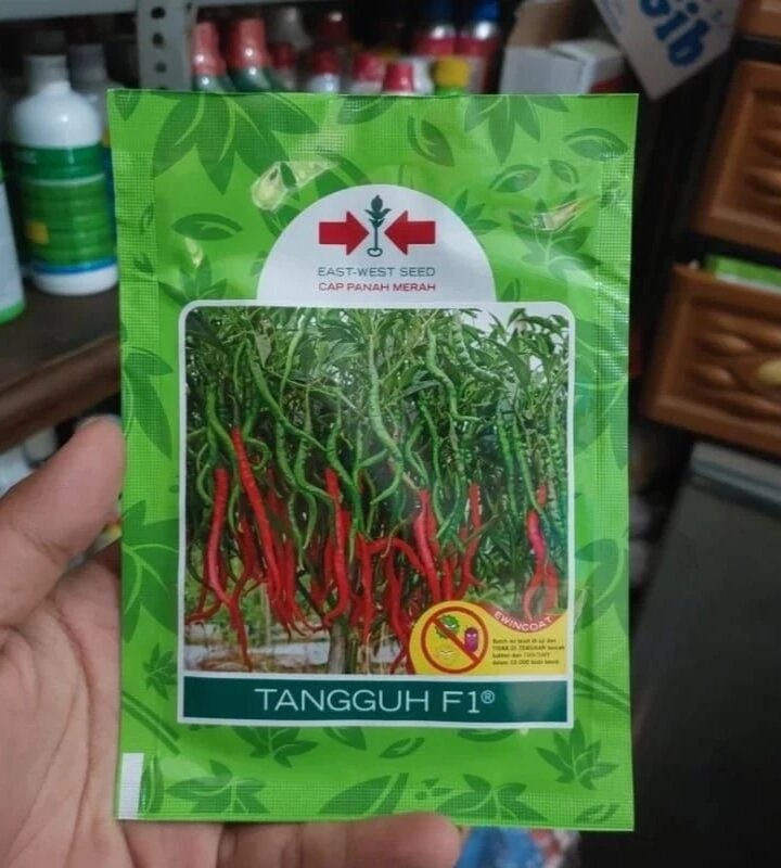 Benih cabe keriting Tangguh F1 10 gram 2000 butir | Lazada Indonesia