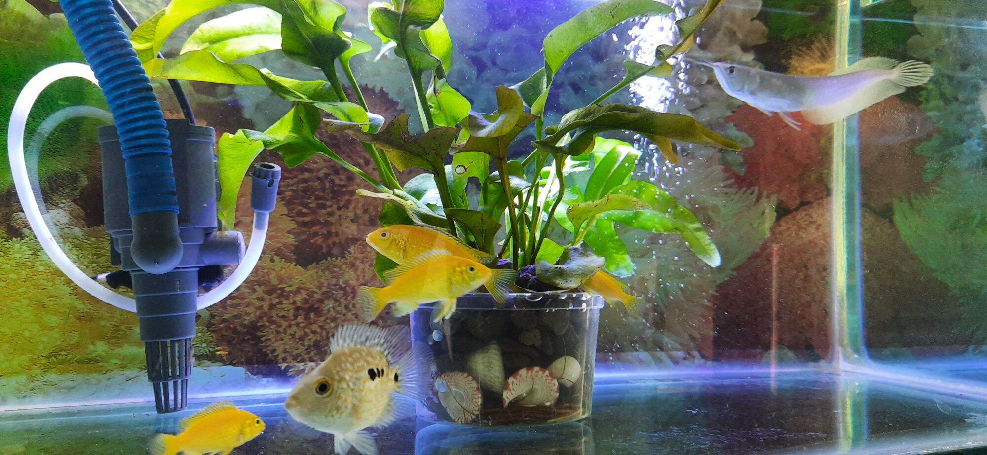 Toko Resmi Multipro store Online | Lazada.co.id