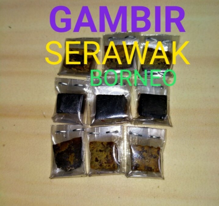 GAMBIR PADAT SERAWAK BORNEO originall | Lazada Indonesia