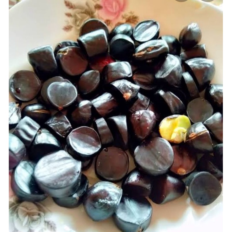 benih bibit tanaman jolang jaling | Lazada Indonesia