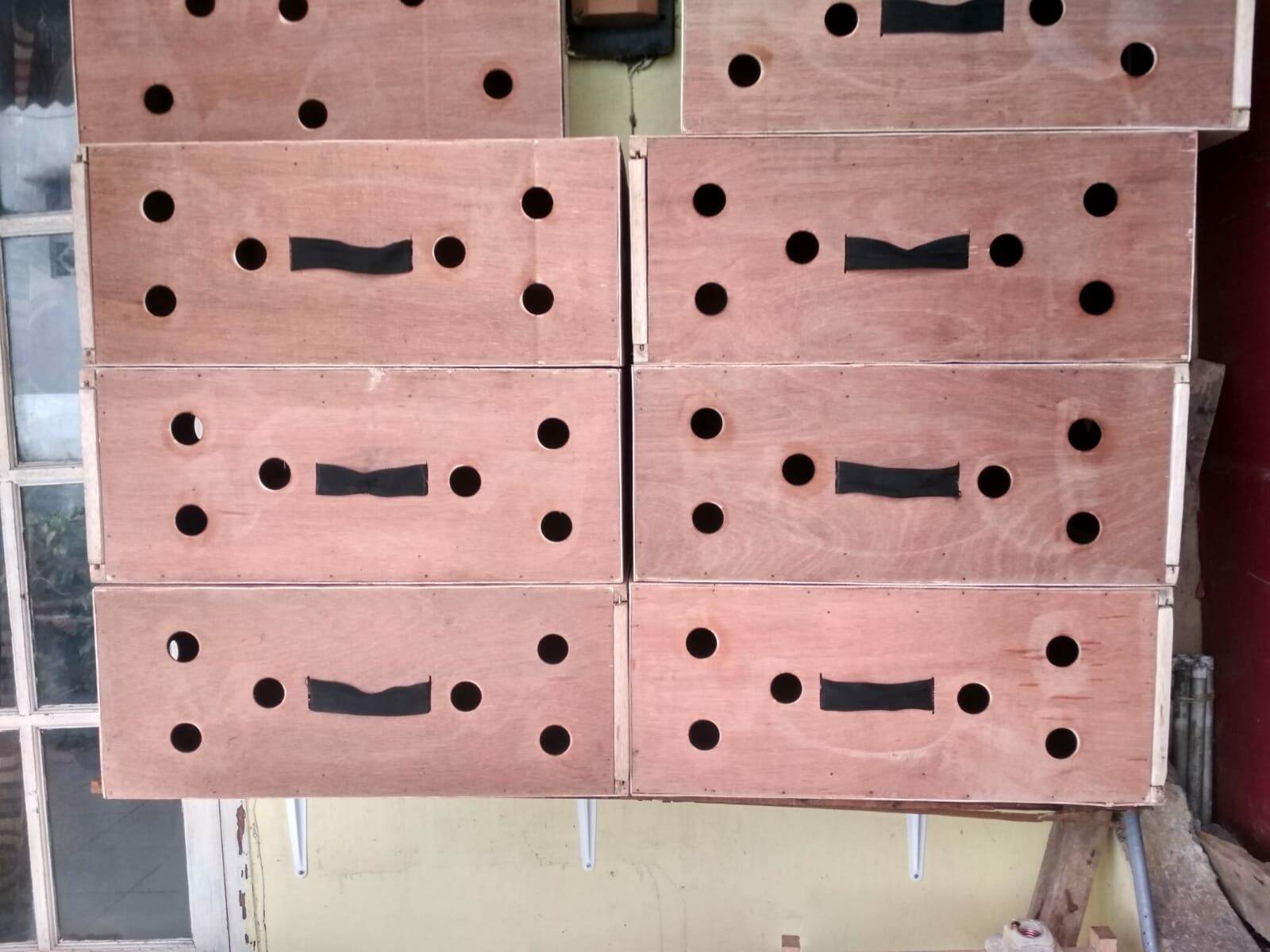 BOX AYAM JAGO box pengiriman ayam | Lazada Indonesia