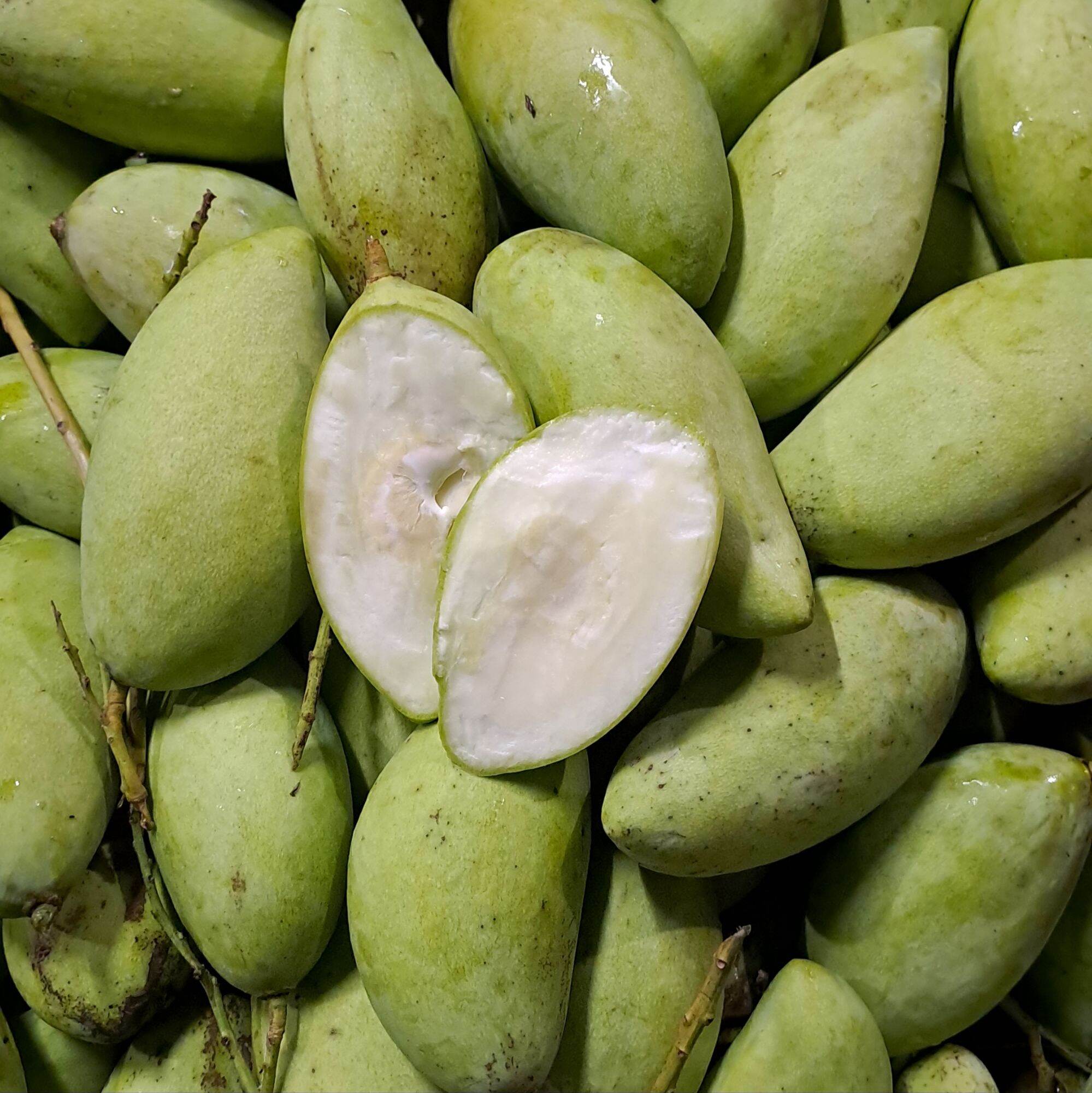 MANGGA MUDA MENGKAL | MANGGA RUJAKAN 1KG | Lazada Indonesia