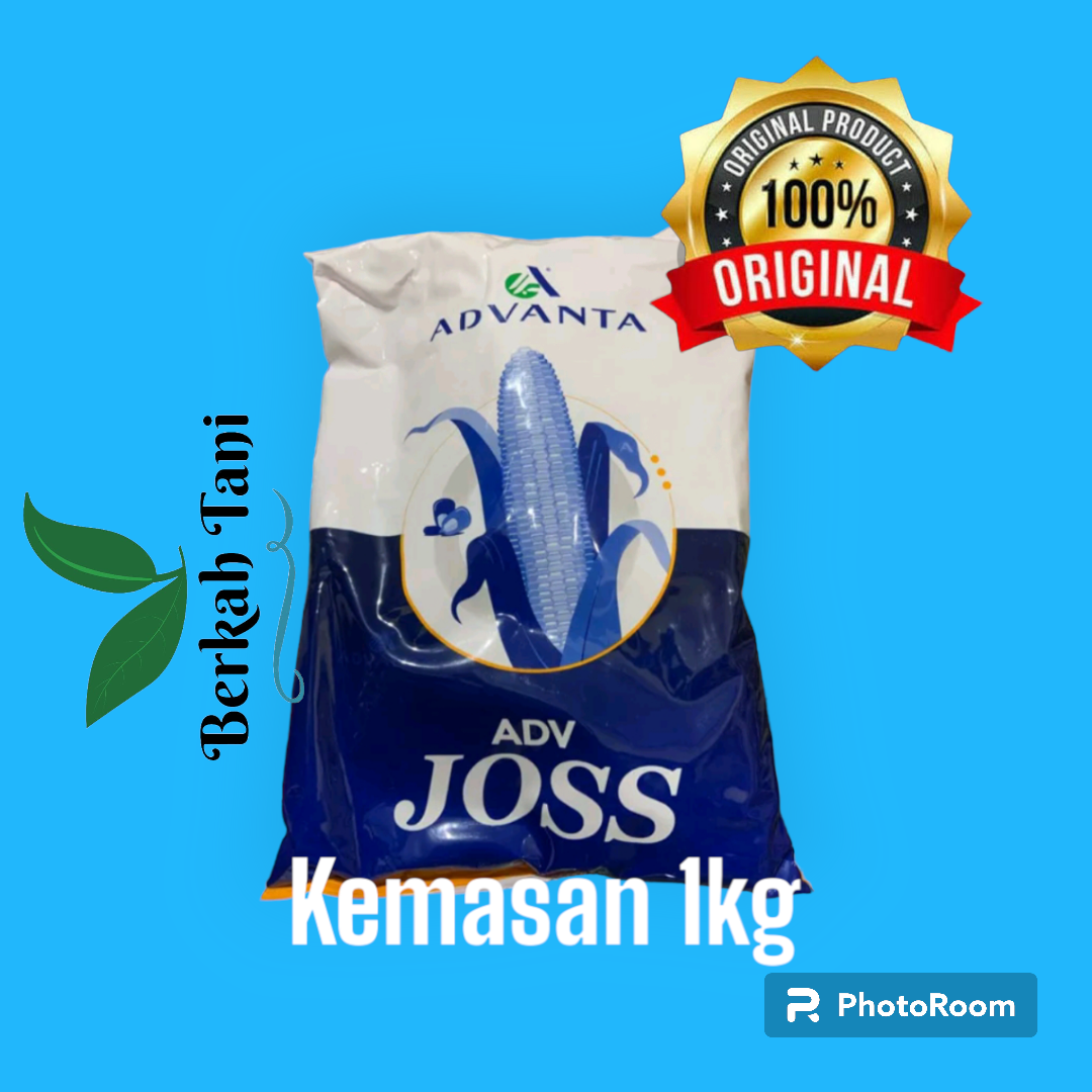 Benih Jagung ADV JOSS kemasan 1kg Original | Lazada Indonesia