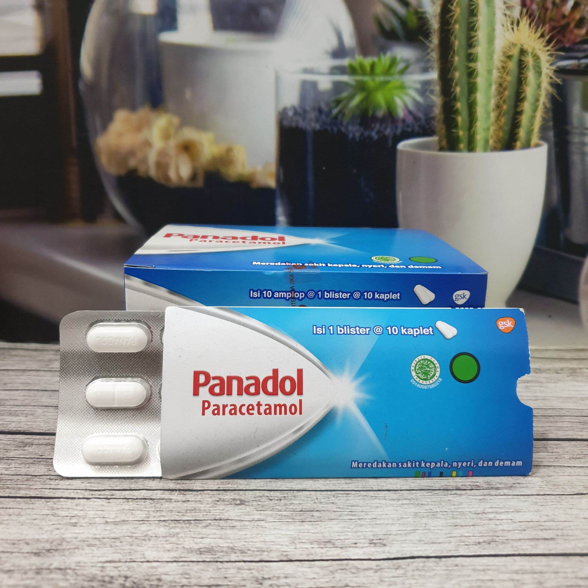 Panadol Kaplet Per Blister 10s - Utk Demam dan Nyeri badan | Lazada ...