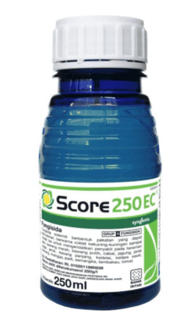 Score 250ec fungisida obat pertanian isi bersih 250 ml | Lazada Indonesia
