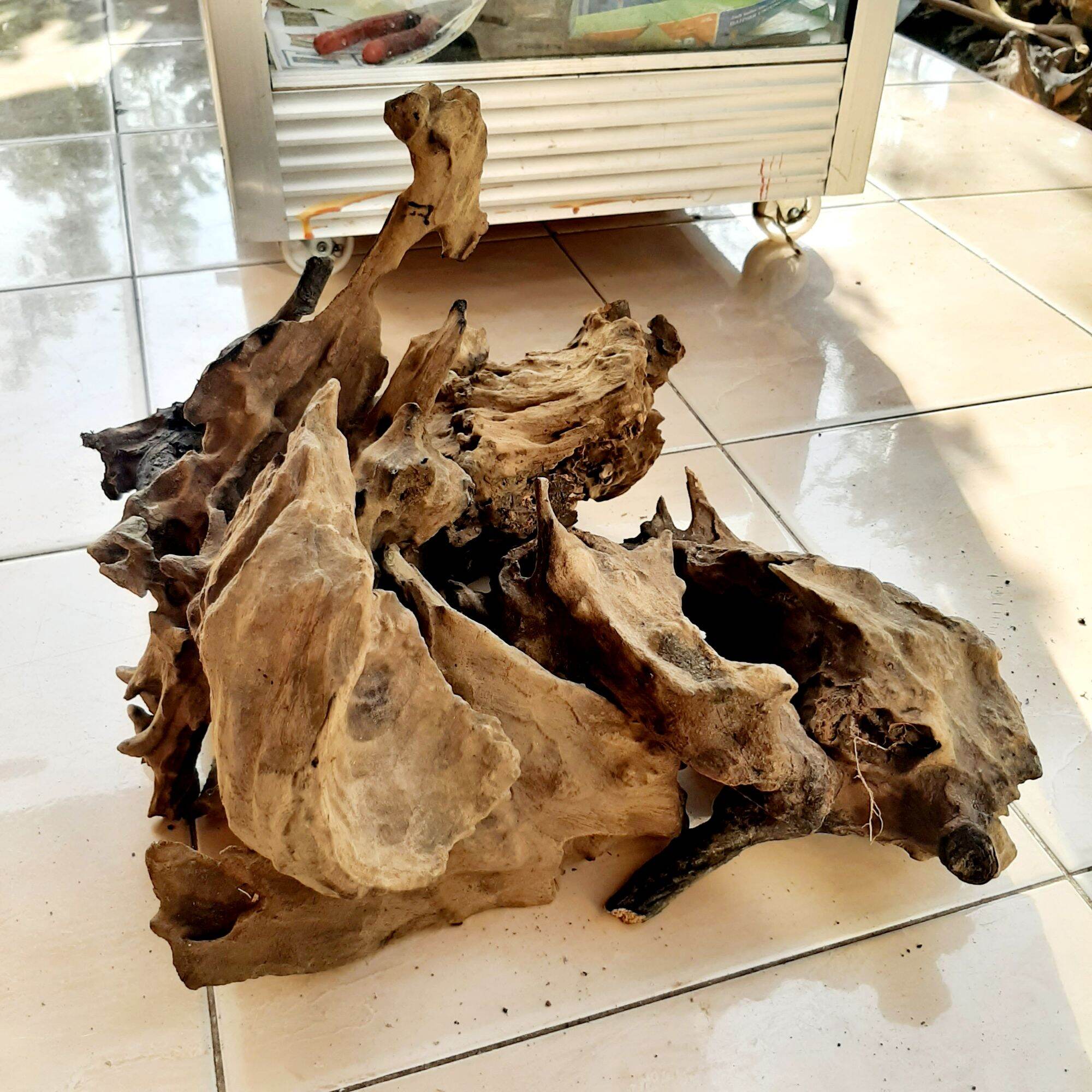 kayu rentek aquascape ukuran SL murah | Lazada Indonesia